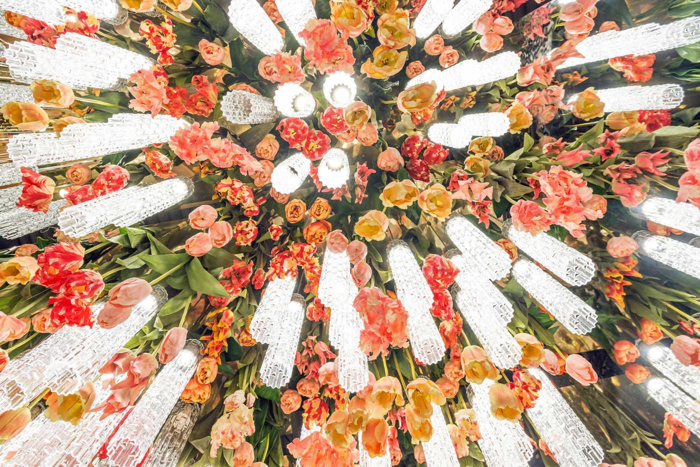 Flower Power: the beauty of nature shining through the seasons - VG new ...